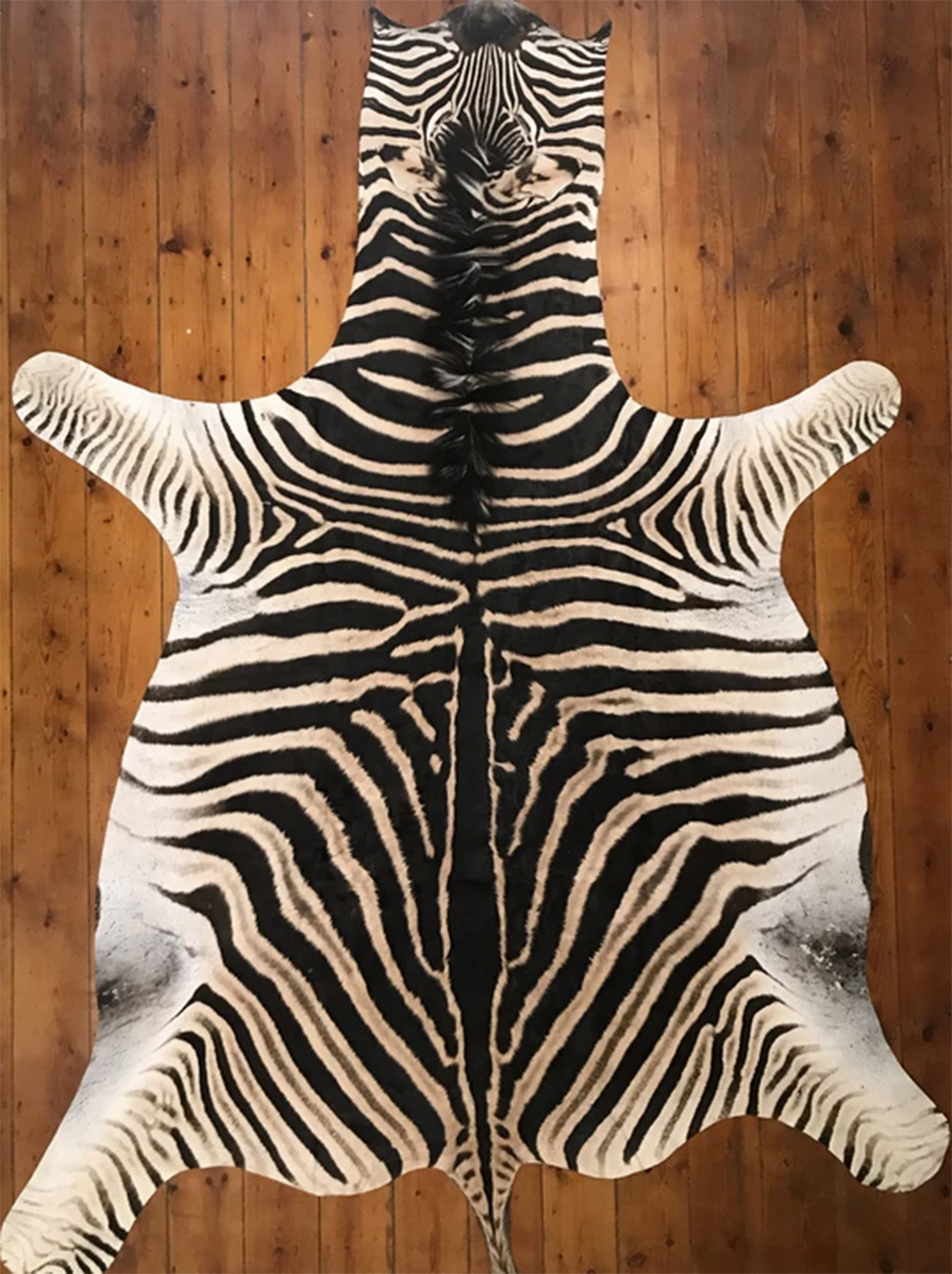 PREMIUM ZEBRA SKINS - ESTERER AFRICAN DIARY