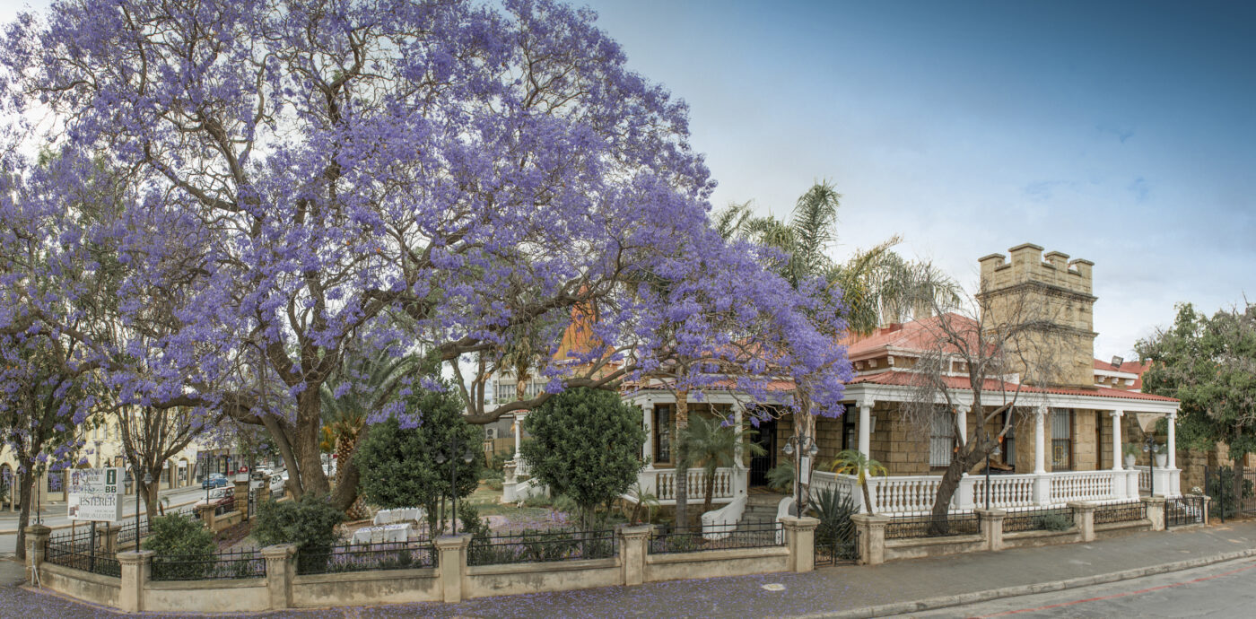 Montague House: The Ostrich-Feather Palace’s Star Performer - ESTERER ...